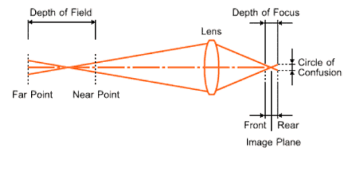 Depth of Focus | Rodger Marion